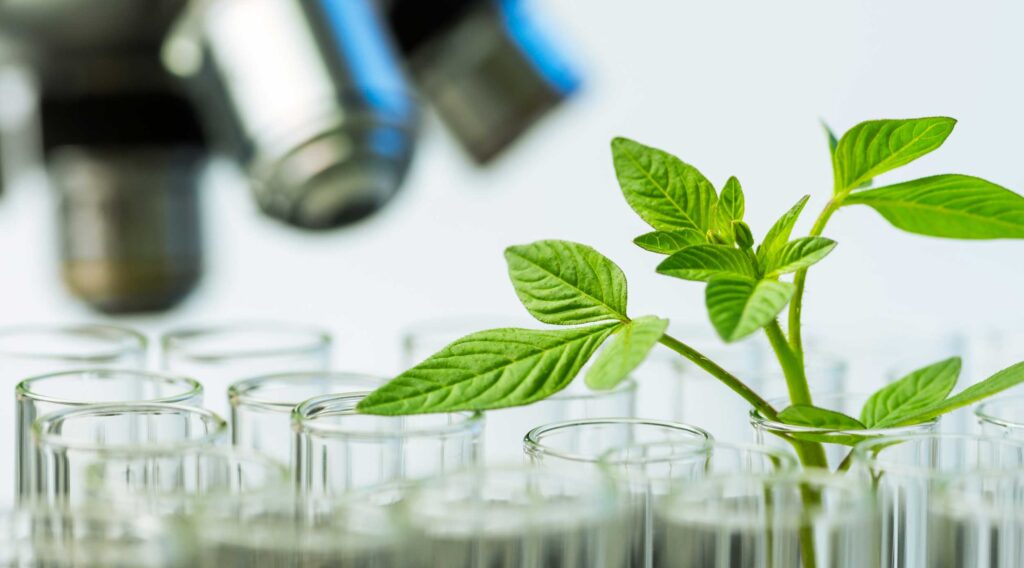 Qualitäts­kontrolle - MLNT